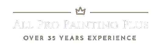 All Pro Painting Plus - Gansevoort, NY - Home