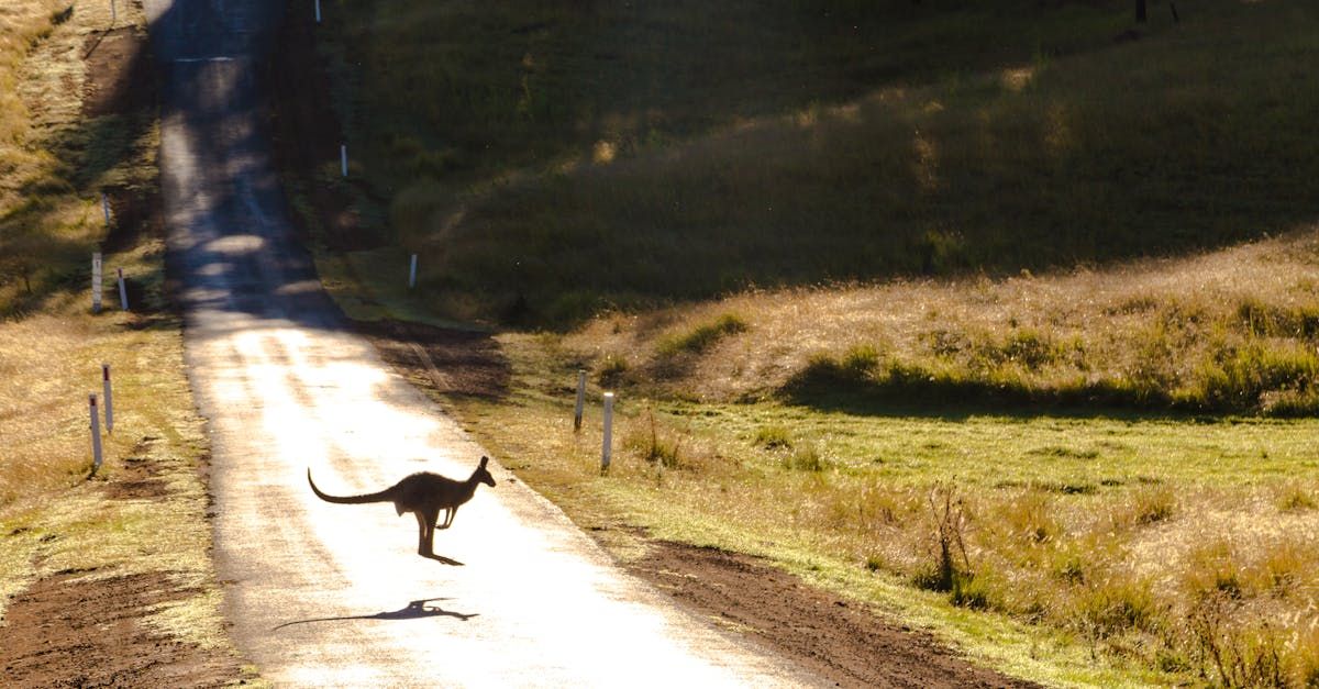 Home [www.cocwa.com.au]