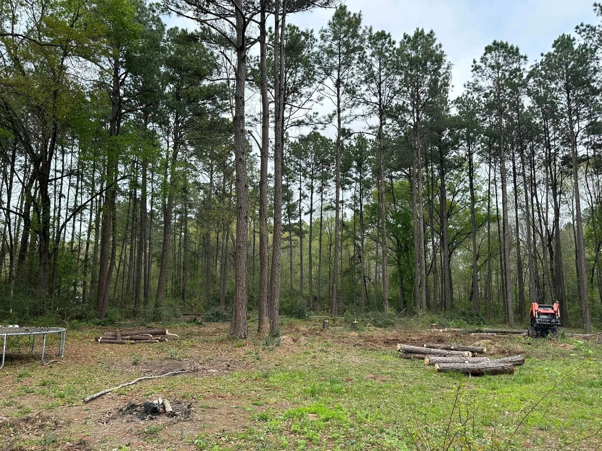 Browse Our Gallery | Splendora Dirt Works & Land Clearing | Splendora ...