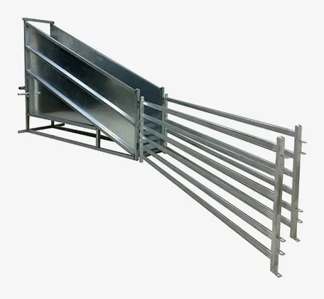 Sheep | The Haymarket | Ballarat