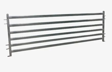 Sheep | The Haymarket | Ballarat