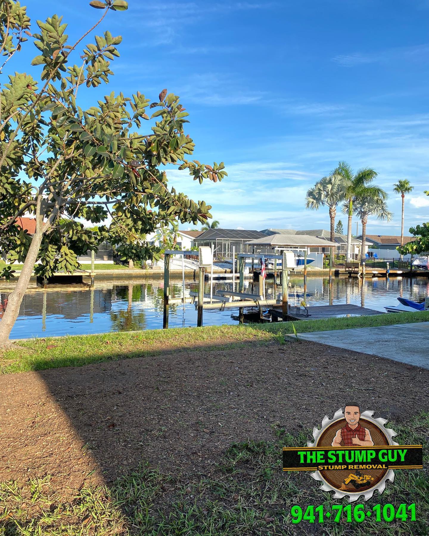 Stump Removal | Tampa, FL | The Stump Guy of Tampa