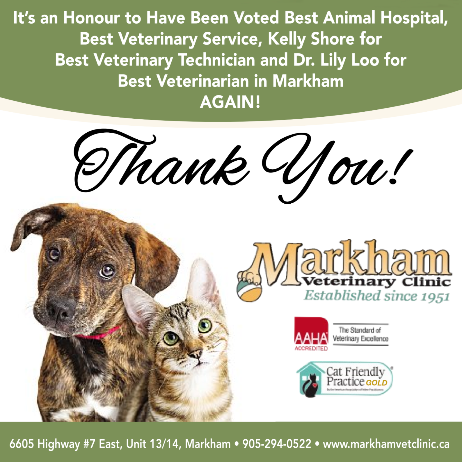 Vet Clinic in Markham & Unionville, ON | Animal Hospital