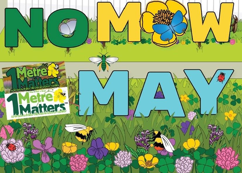 No Mow May