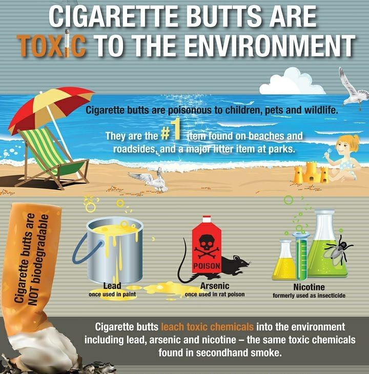 Tiny But Deadly: the Cigarette Butt