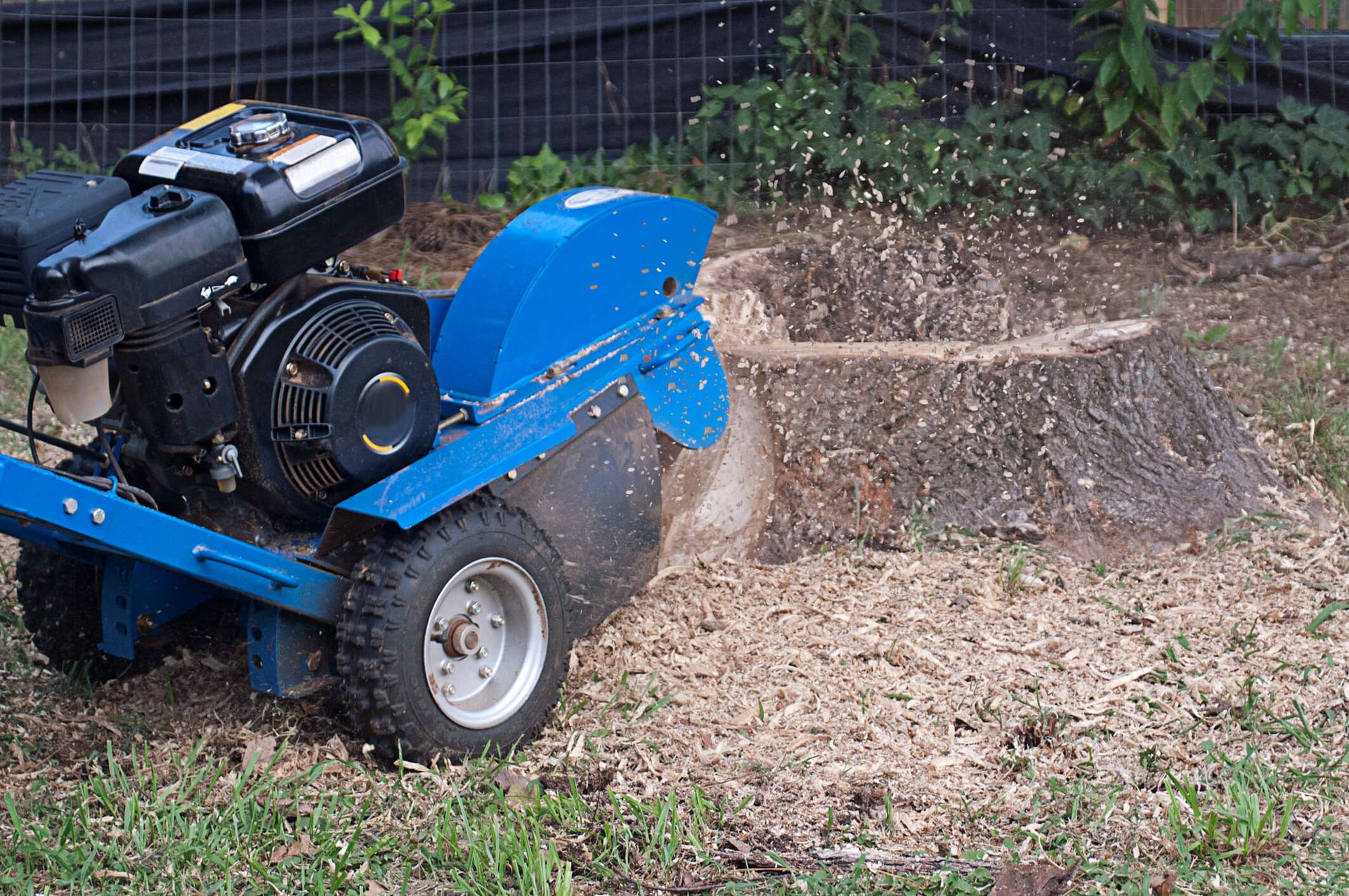 Why Stump Removal is Important - SYS Enterprises