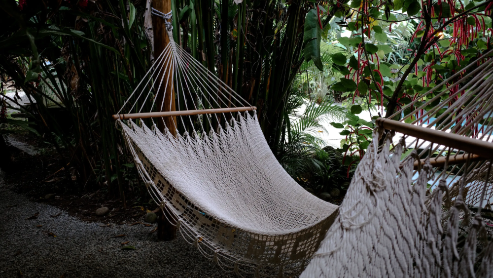 Conga Boutique Hotel | Luxury Stay Puerto Viejo, Costa Rica