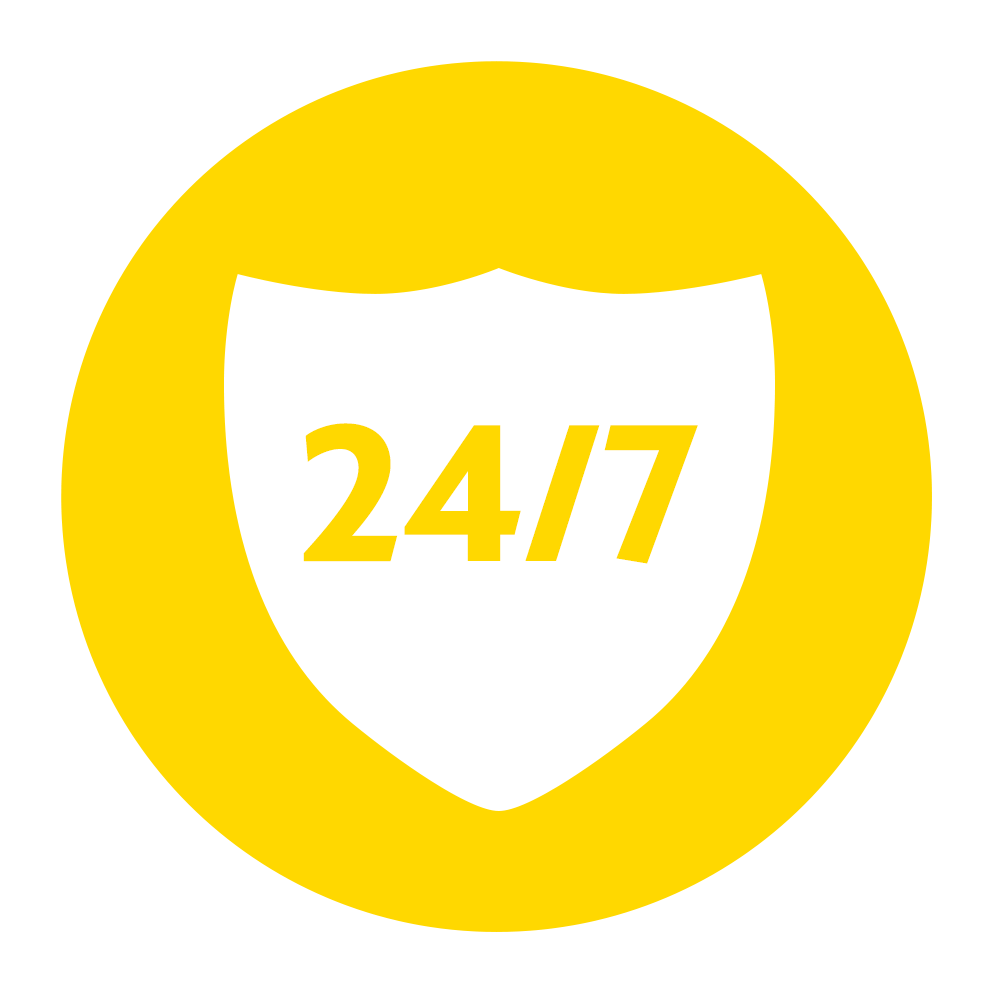 Bald Eagle Security Services | Premier San Diego Security Solutions