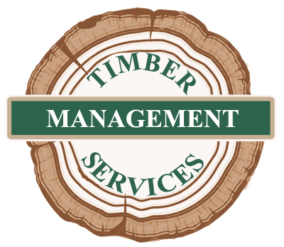 Timber Management Services Ohio Michigan Indiana PA