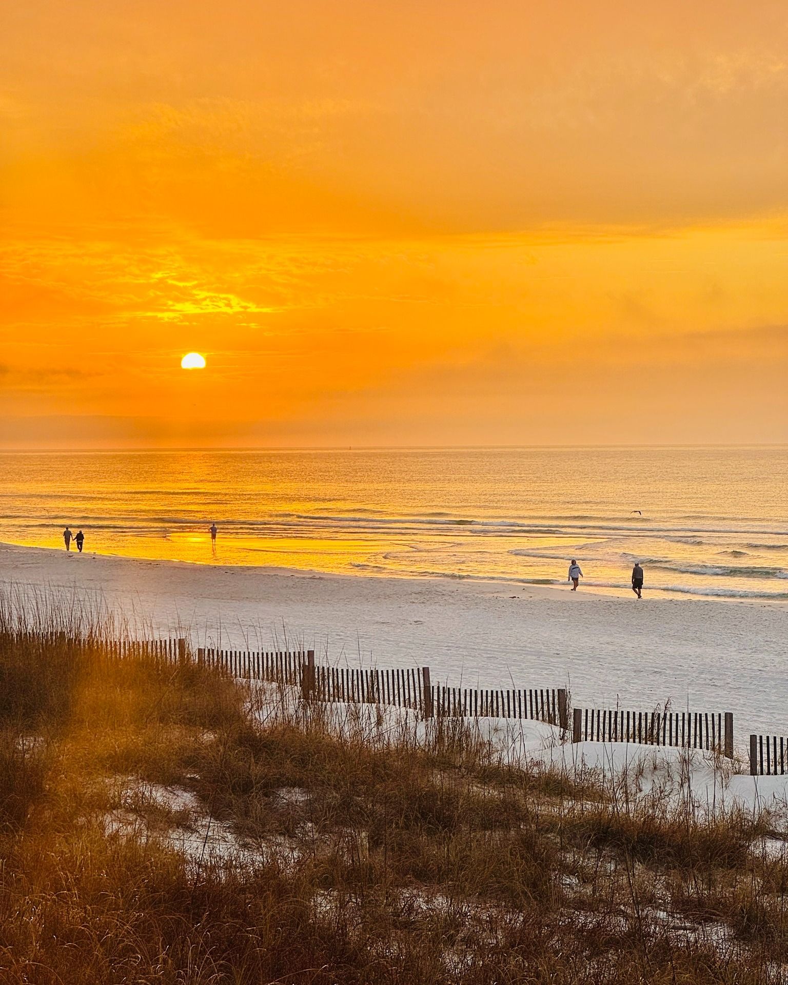 COASTAL Orange Beach Gallery