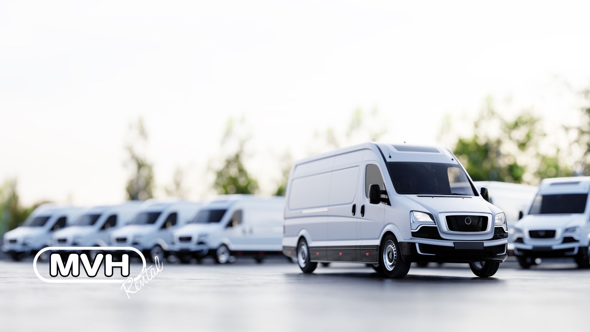 The wheely fascinating history of vans