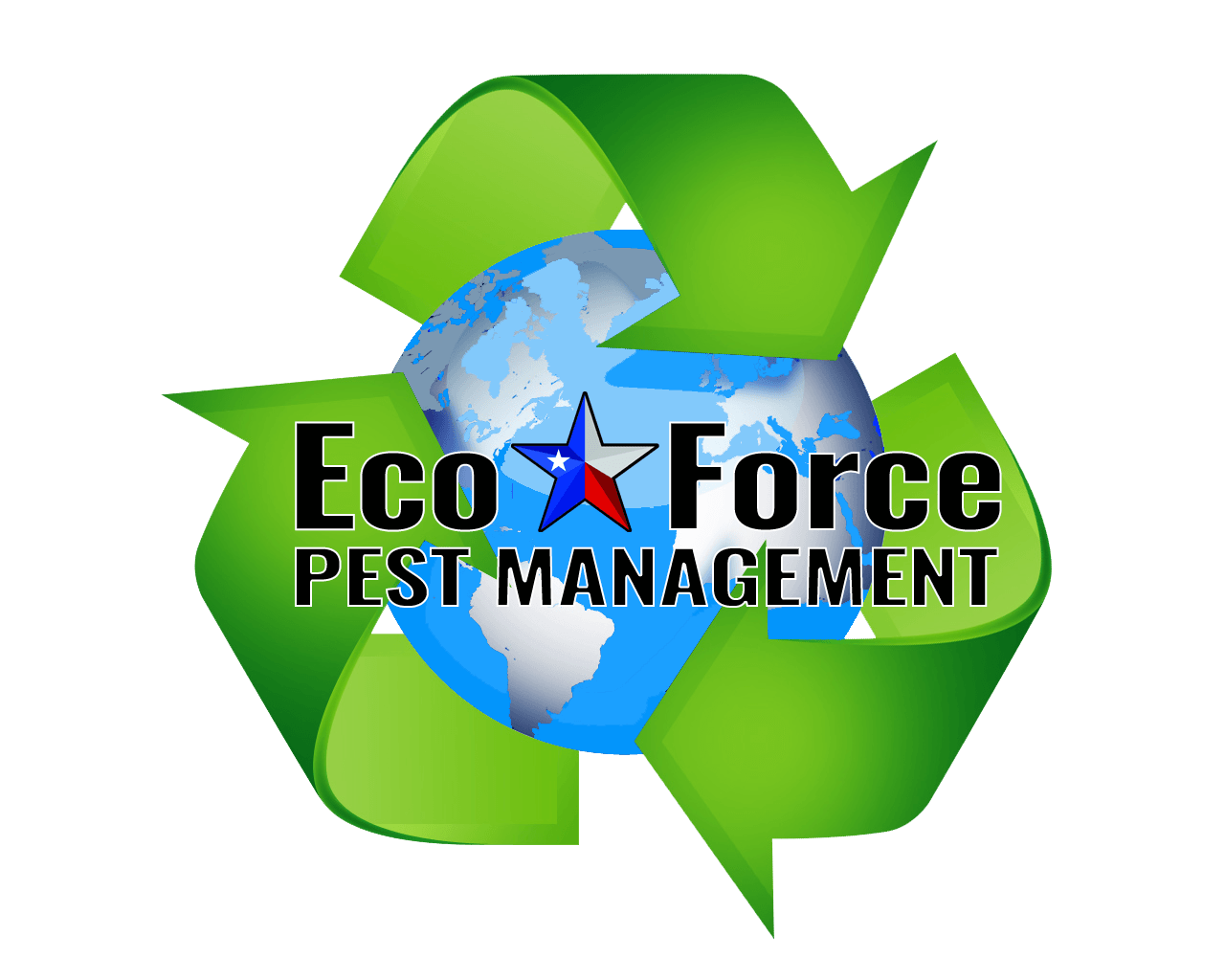 What Do Ants Eat and Drink? | EcoForce Pest Management