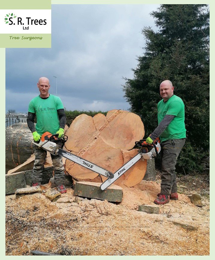 Tree surgeon near me | S. R. Trees