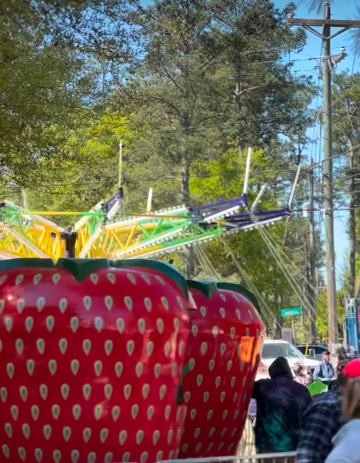 How to Make the Most of the Summerville Flowertown Festival