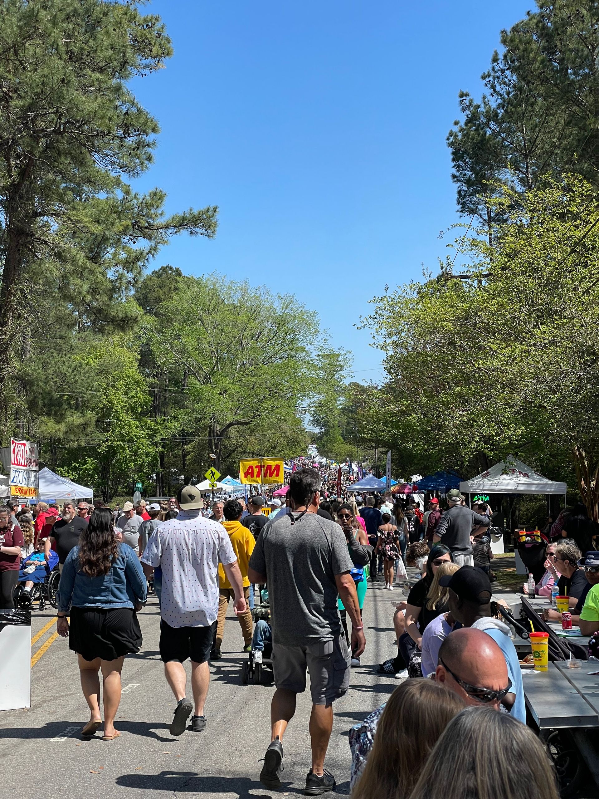 How to Make the Most of the Summerville Flowertown Festival