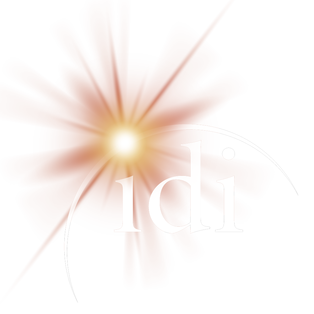 Lead Software Integration Company | Information Design, Inc