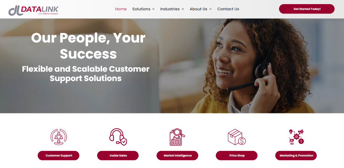 Datalink Unveils New Website