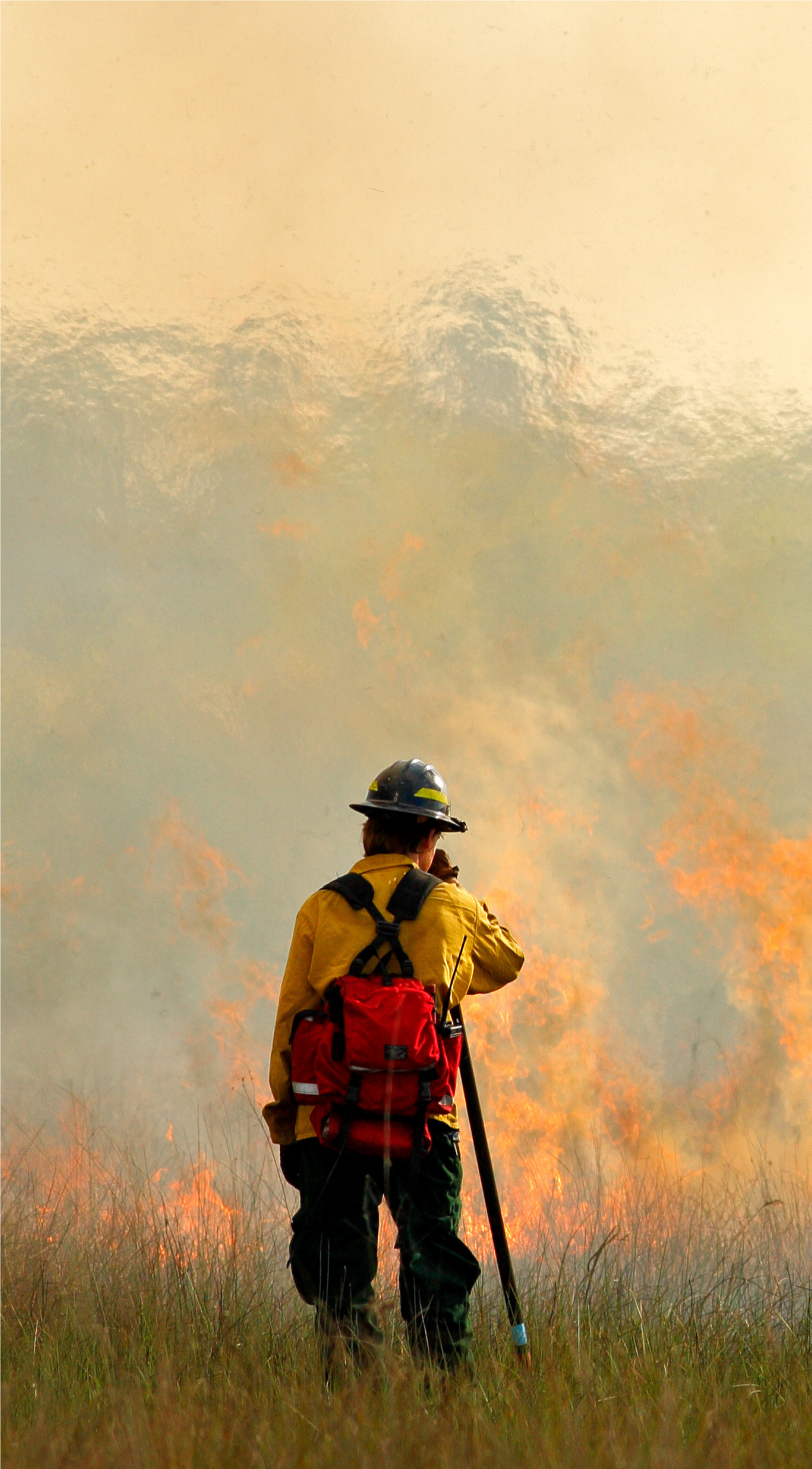 Wildfire Protection Services | Guardian Ember Defense