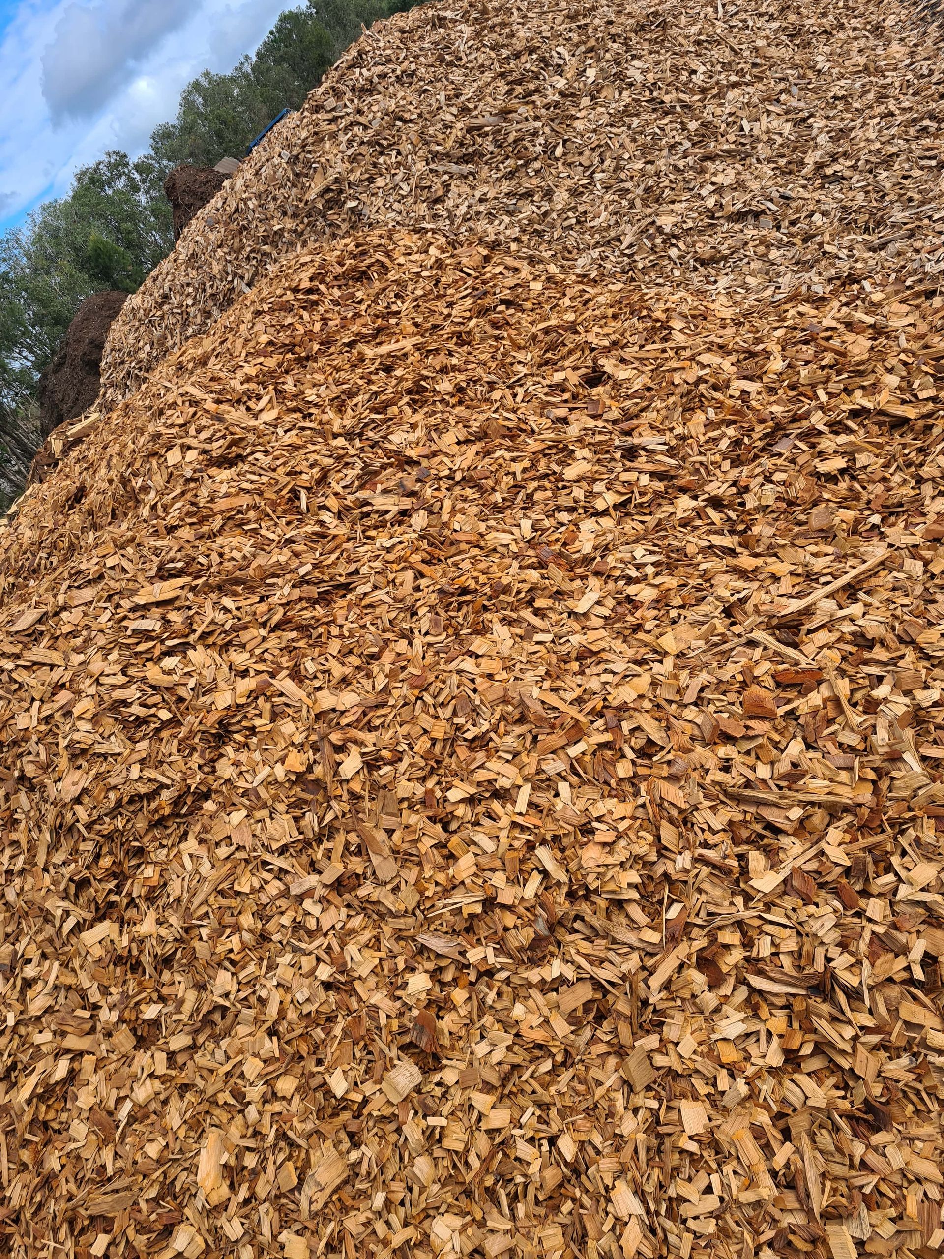 Our Services | Coastal Sand Soil & Mulch