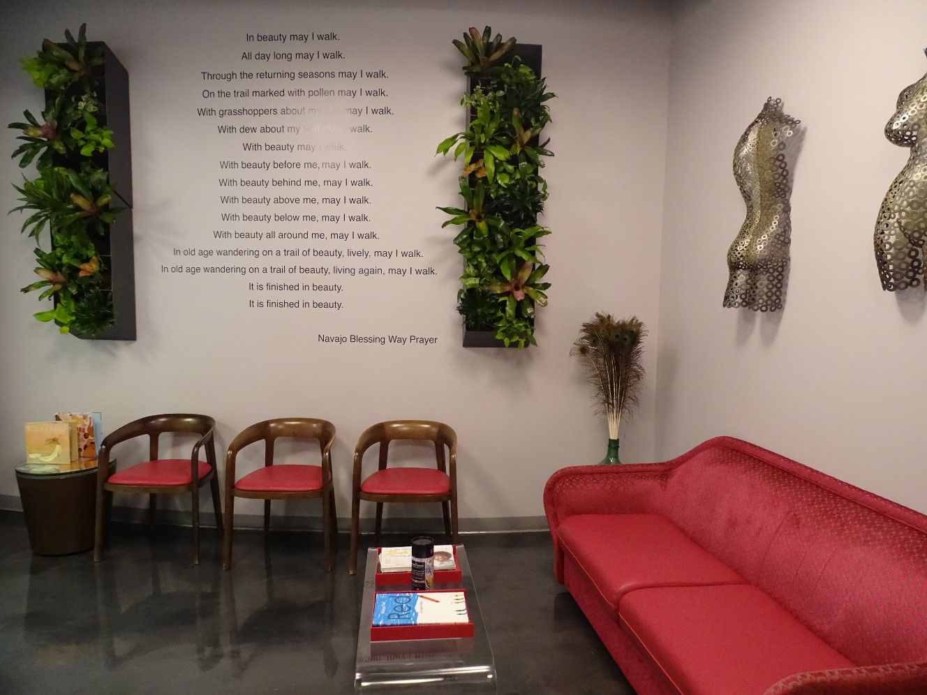 Transgender Cosmetic Surgery | The Cosmetic Concierge | Charlotte, NC