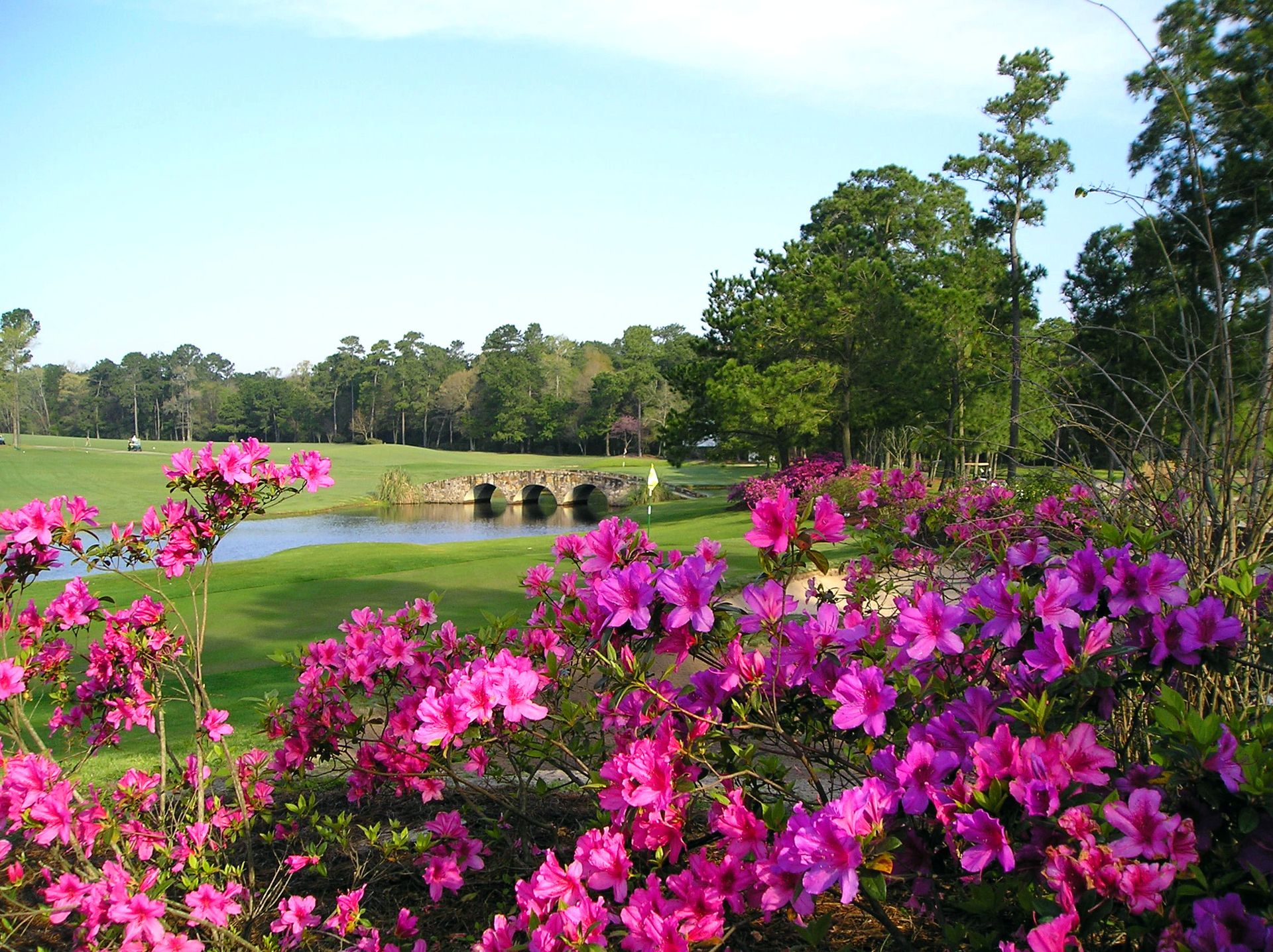 Tournaments | Tour 18 Golf | Humble, TX