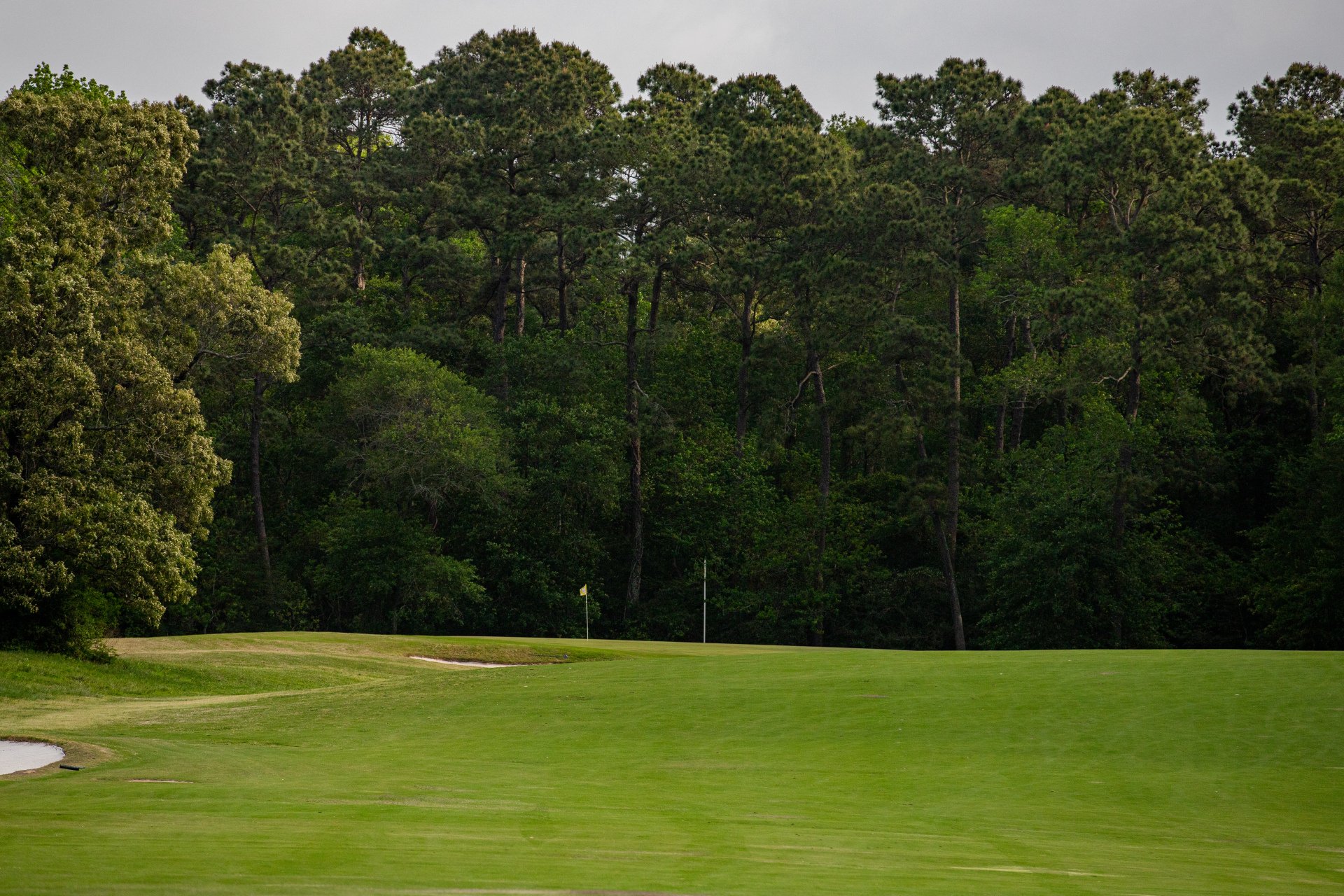 Gallery | Tour 18 Golf | Humble, TX