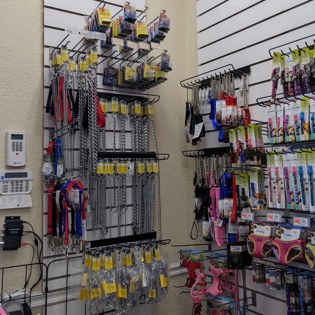 Dog Accessories | Collars, Leashes, Harnesses, Clothing | Pet Wize