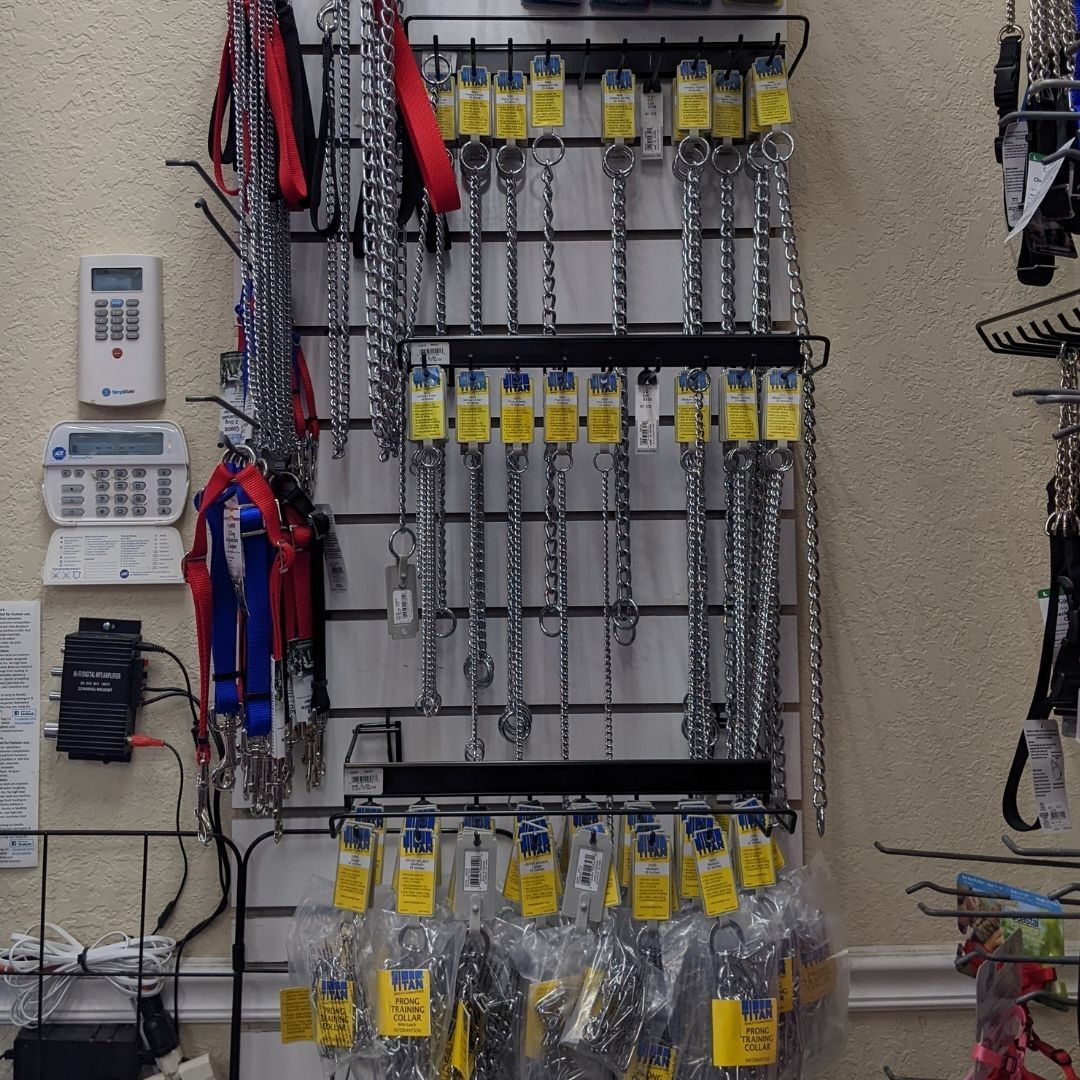 Dog Accessories | Collars, Leashes, Harnesses, Clothing | Pet Wize