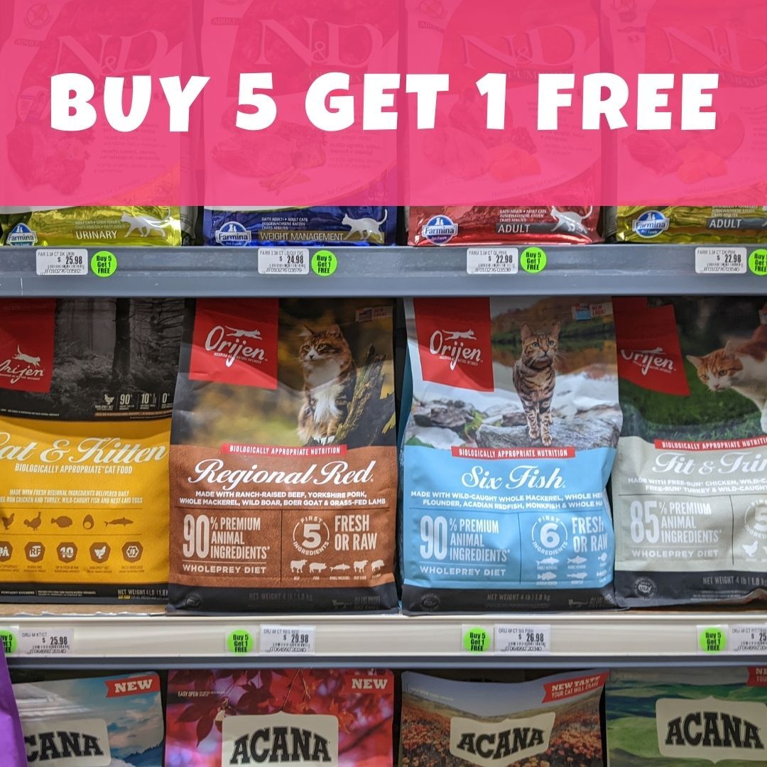 Cat Kibble | Pet Wize