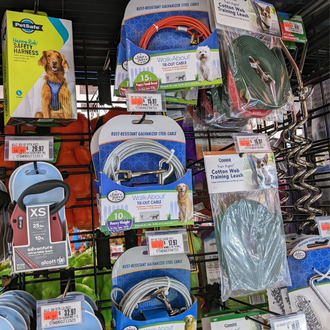 Dog Accessories | Collars, Leashes, Harnesses, Clothing | Pet Wize