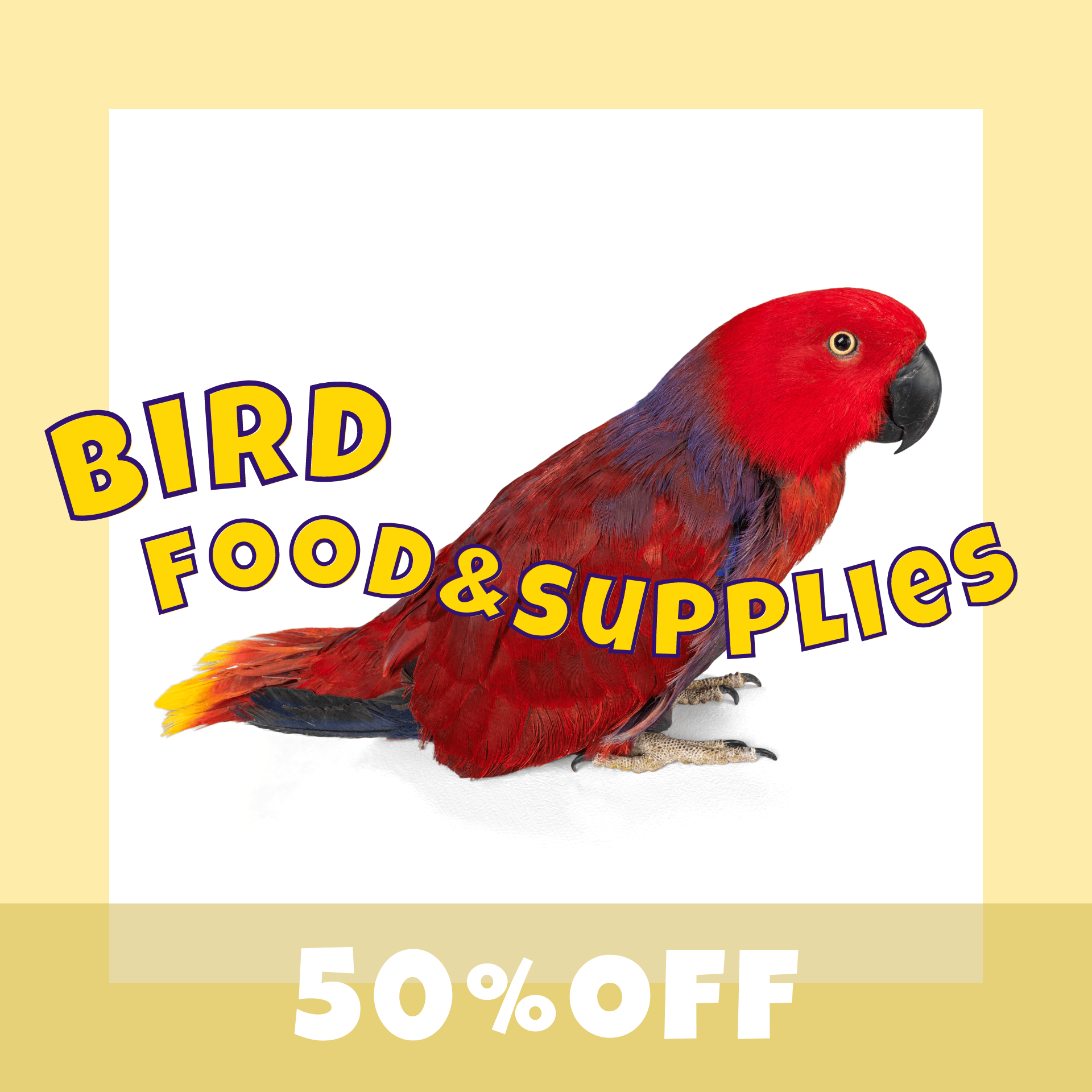 Pet Food & Supplies 20-50% Off ALWAYS | Tampa, FL | Pet Wize