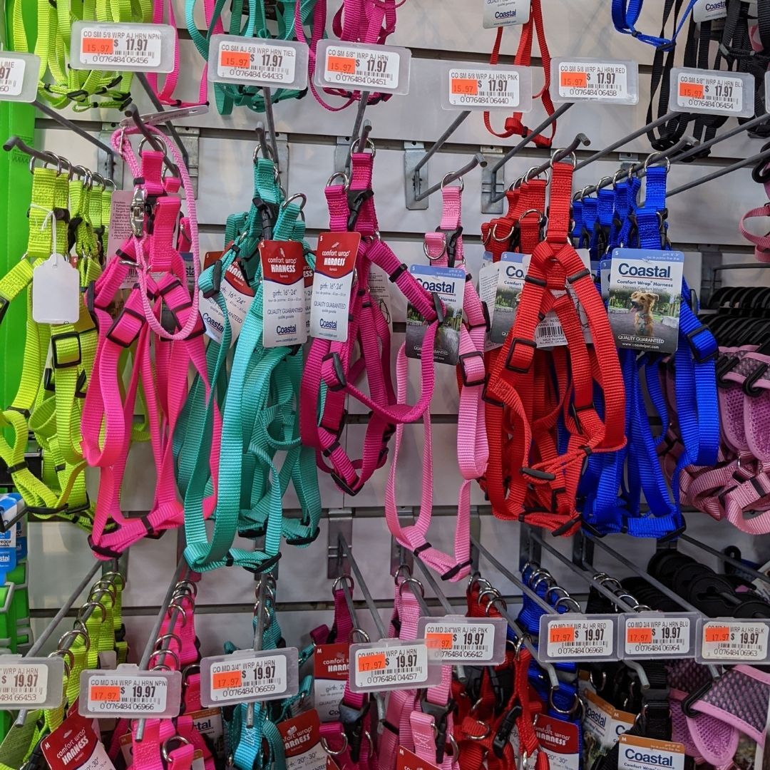 Dog Accessories | Collars, Leashes, Harnesses, Clothing | Pet Wize
