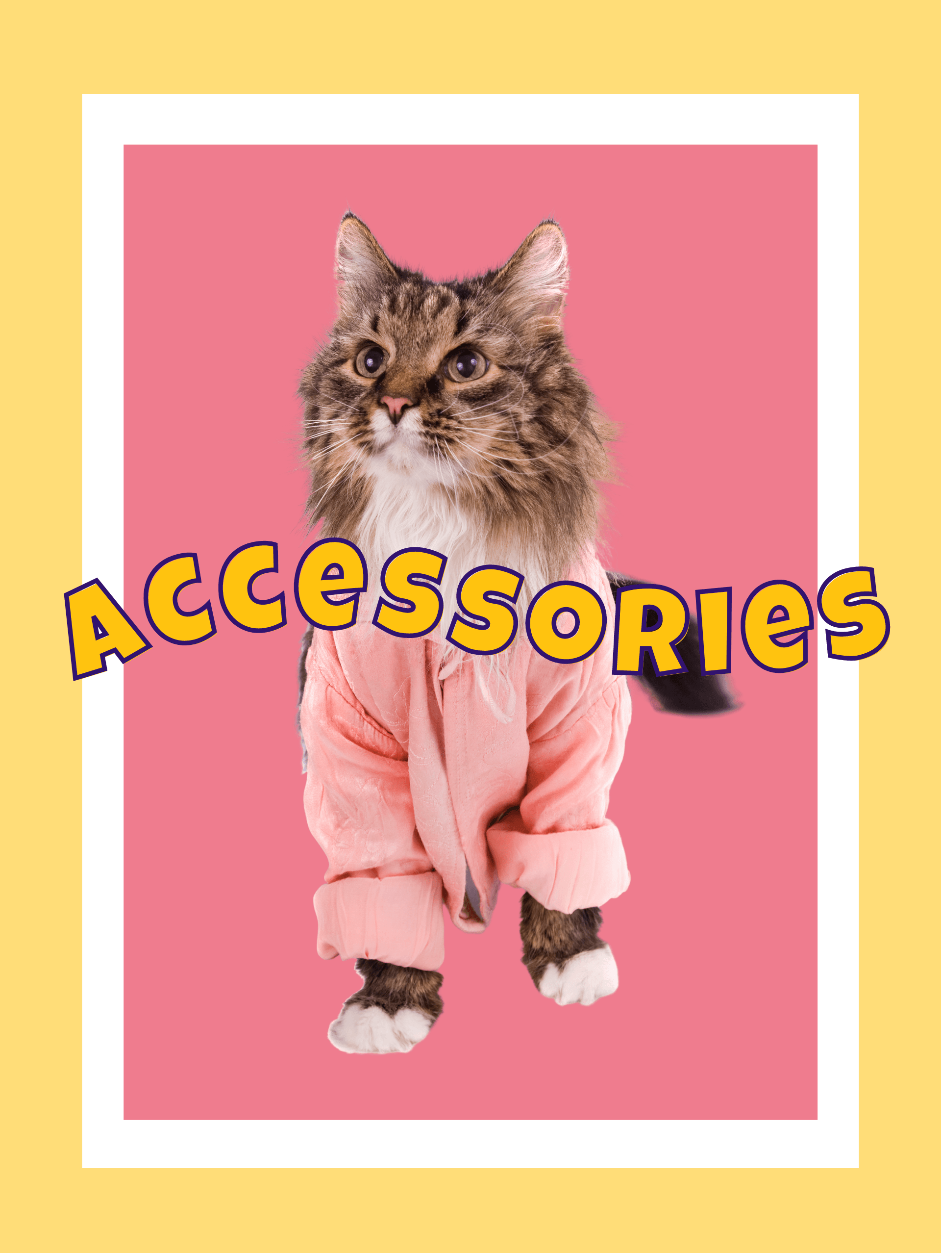 Cat Products | Pet Wize