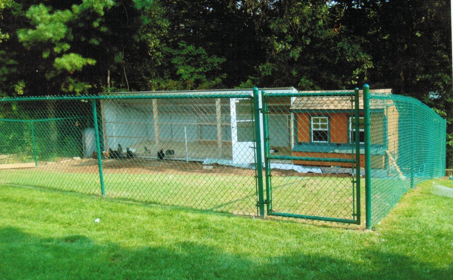 Chain Link - Fences