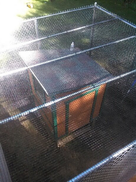 Chain Link - Fences
