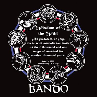 Homepage - American Bando Association