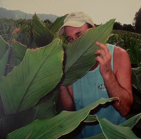 Soully Organic - Heath & Lejeune Organic Produce