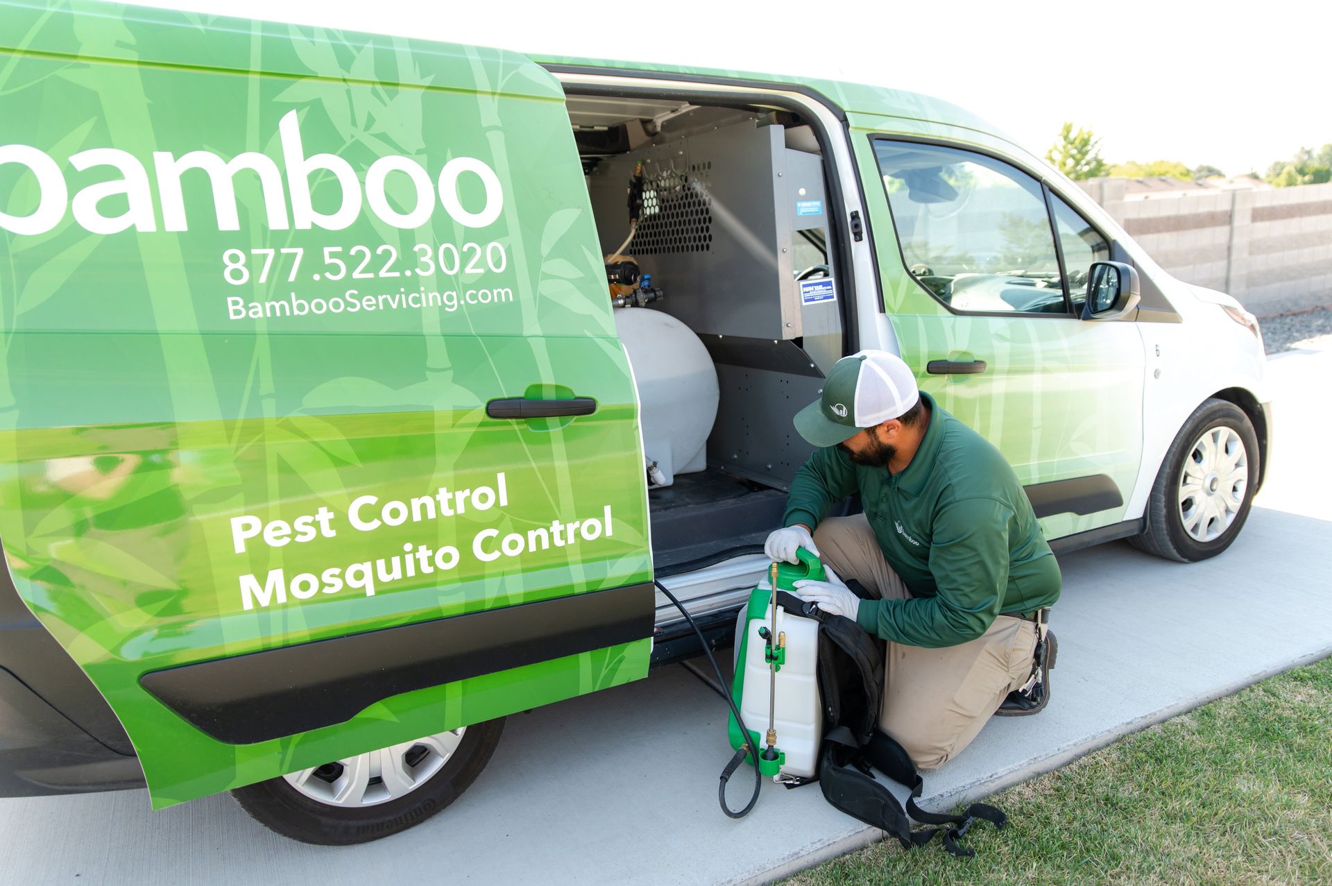Professional Pest Control in Virginia - Bamboo