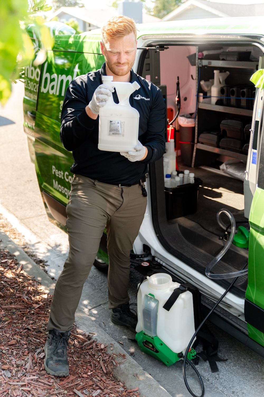 Our Pest Control Services - Bamboo Pest Control