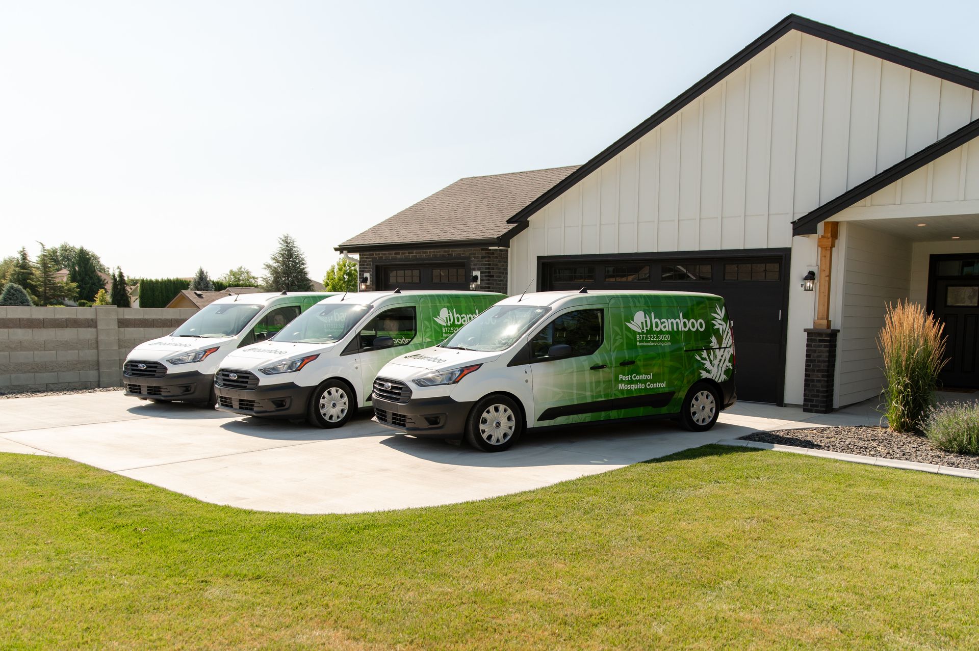 Pest Control For Home & Business - Exterminators - Bamboo Pest Control