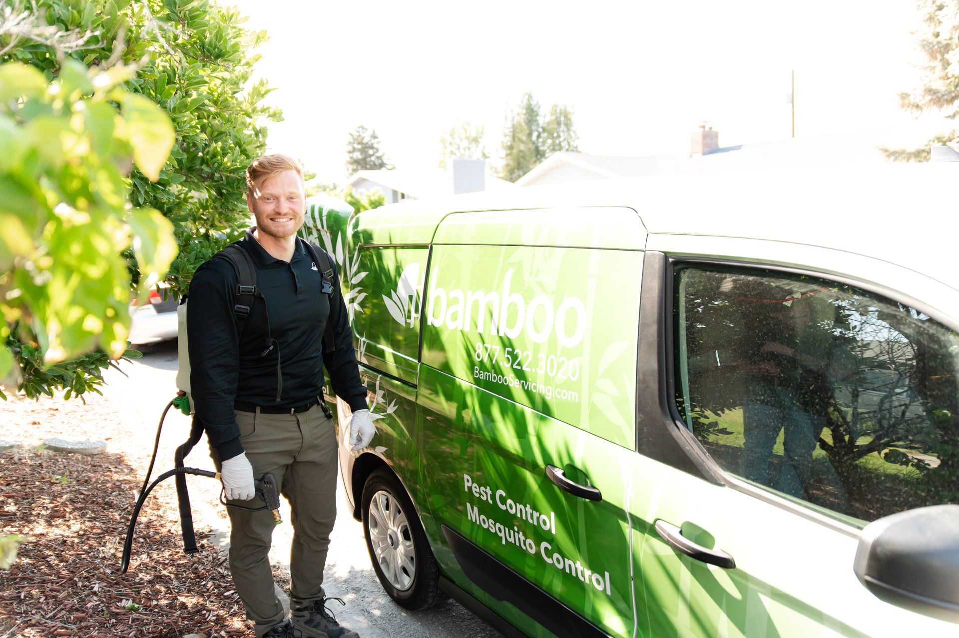 Professional Pest Control in Virginia - Bamboo