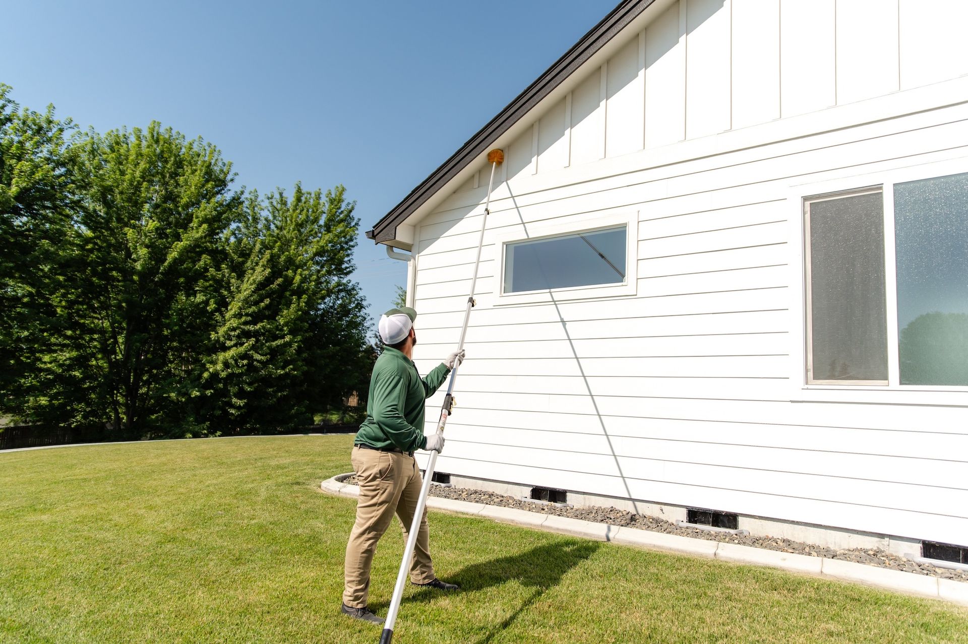 Professional Pest Control in Virginia - Bamboo