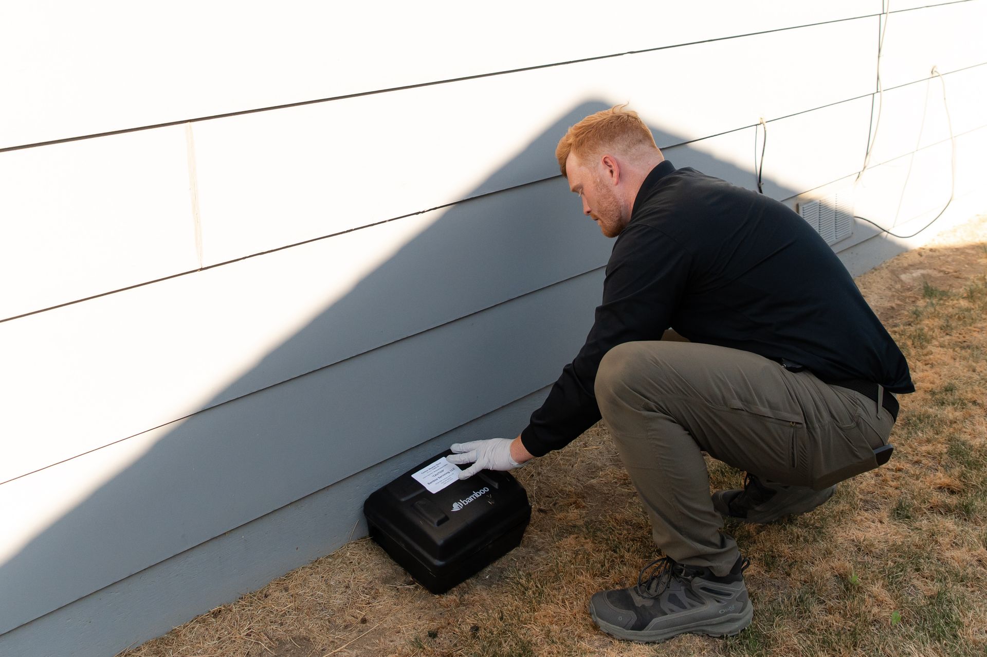 Rodent Control Services | Bamboo Pest Control