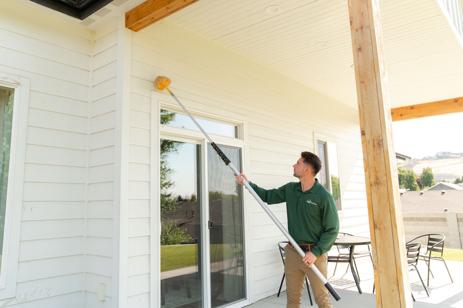 Spider Control Services | Bamboo Pest Control