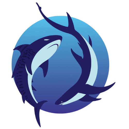 Shark Island Dive Fuvahmulah | Tiger Shark Diving in Maldives