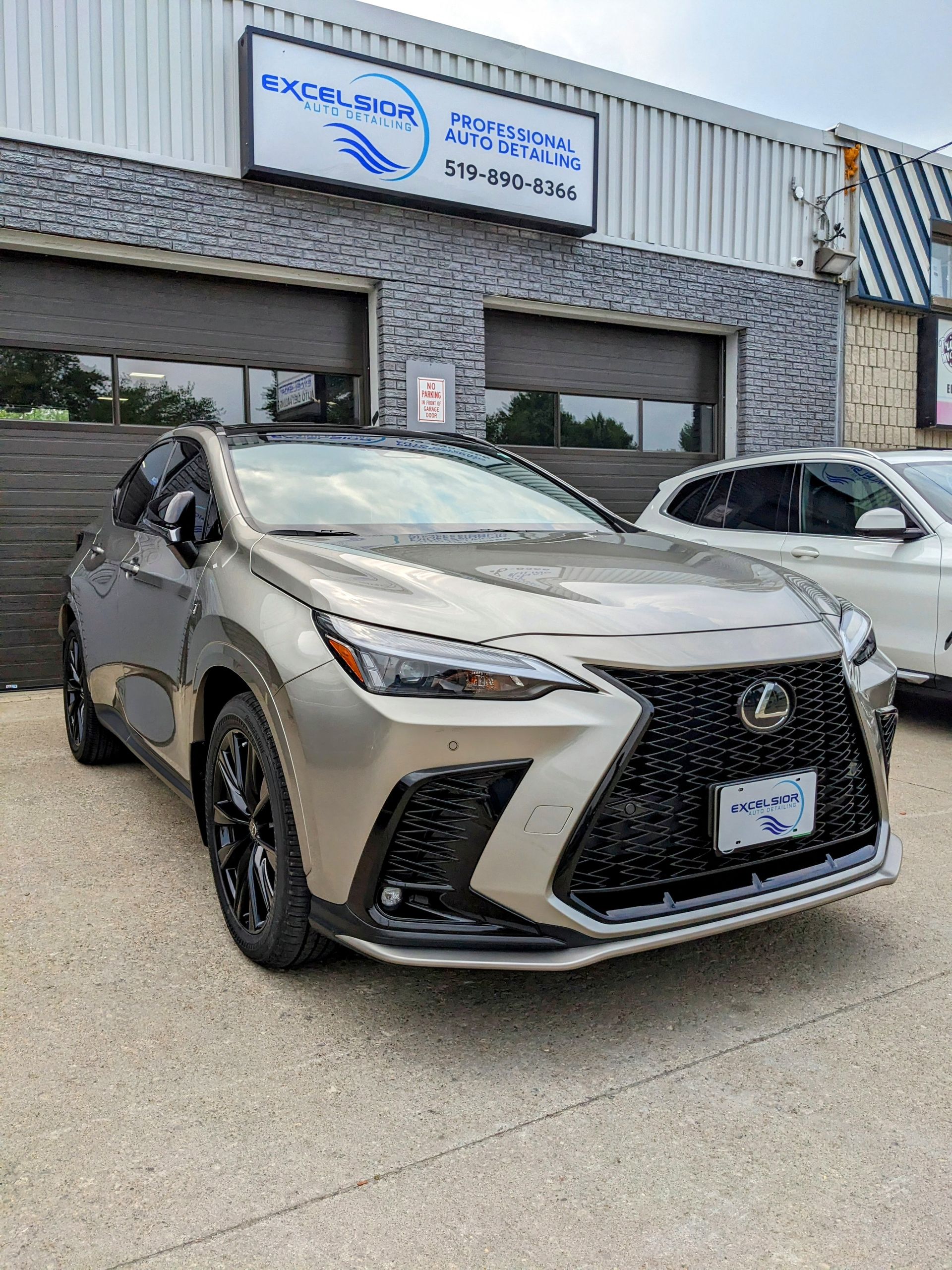 Ceramic Coatings and Detailing Services in Windsor, ON | Excelsior Auto ...