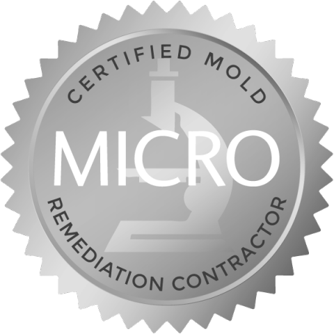 What MICRO Certified Mold Remediation Means for Your Crawl Space