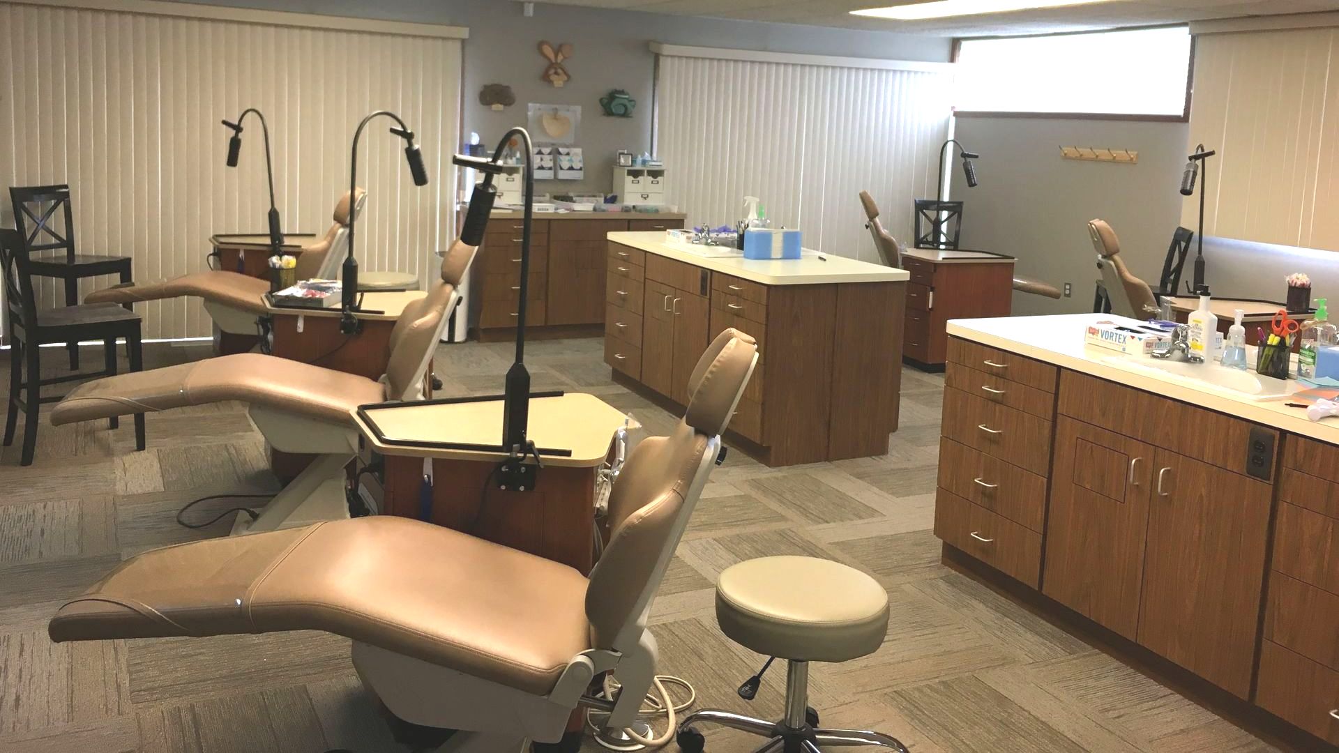 About | Borgula Orthodontics