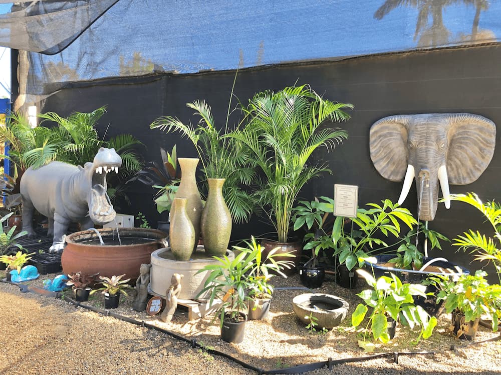 Outdoor Living in Hervey Bay | Springvale Garden Centre