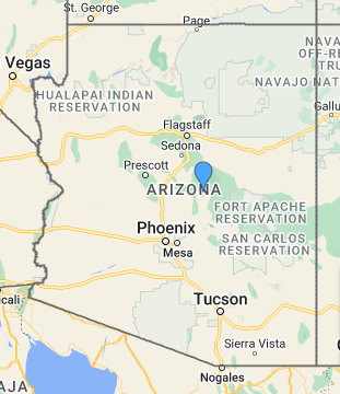 Tree Service in Payson, AZ | Tree Crafters